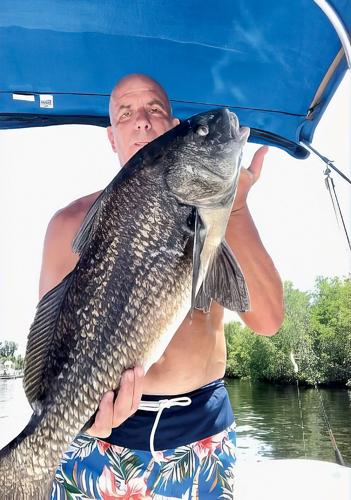 Reader photos | Waterline | yoursun.com