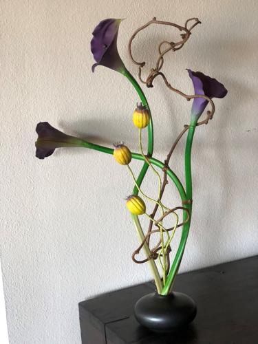 Fusion Botanical Arts opens | Go! | yoursun.com