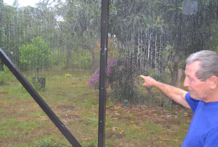 Bear in Sebring backyard ‘biggest I’ve ever seen’ | Newsarchives ...