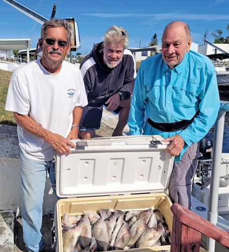 Reader photos | Waterline | yoursun.com