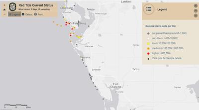 Red tide clears out of regional waters | News | yoursun.com