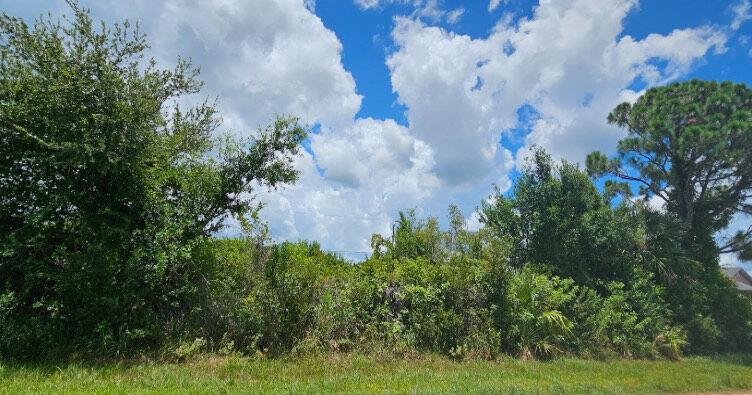 Local conservation group looks to secure Englewood parcel | News ...