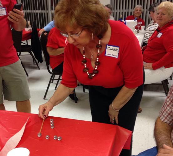 Ohio state party held, bridge group re-elects director | News Archives ...