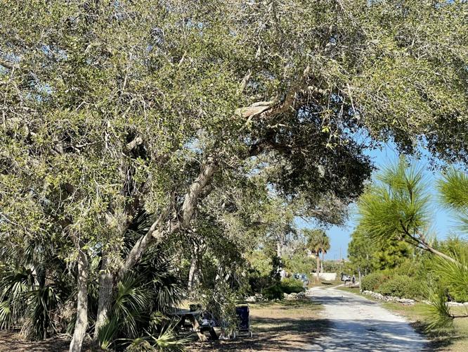 Foundation offers ways to enjoy local environment | News | yoursun.com