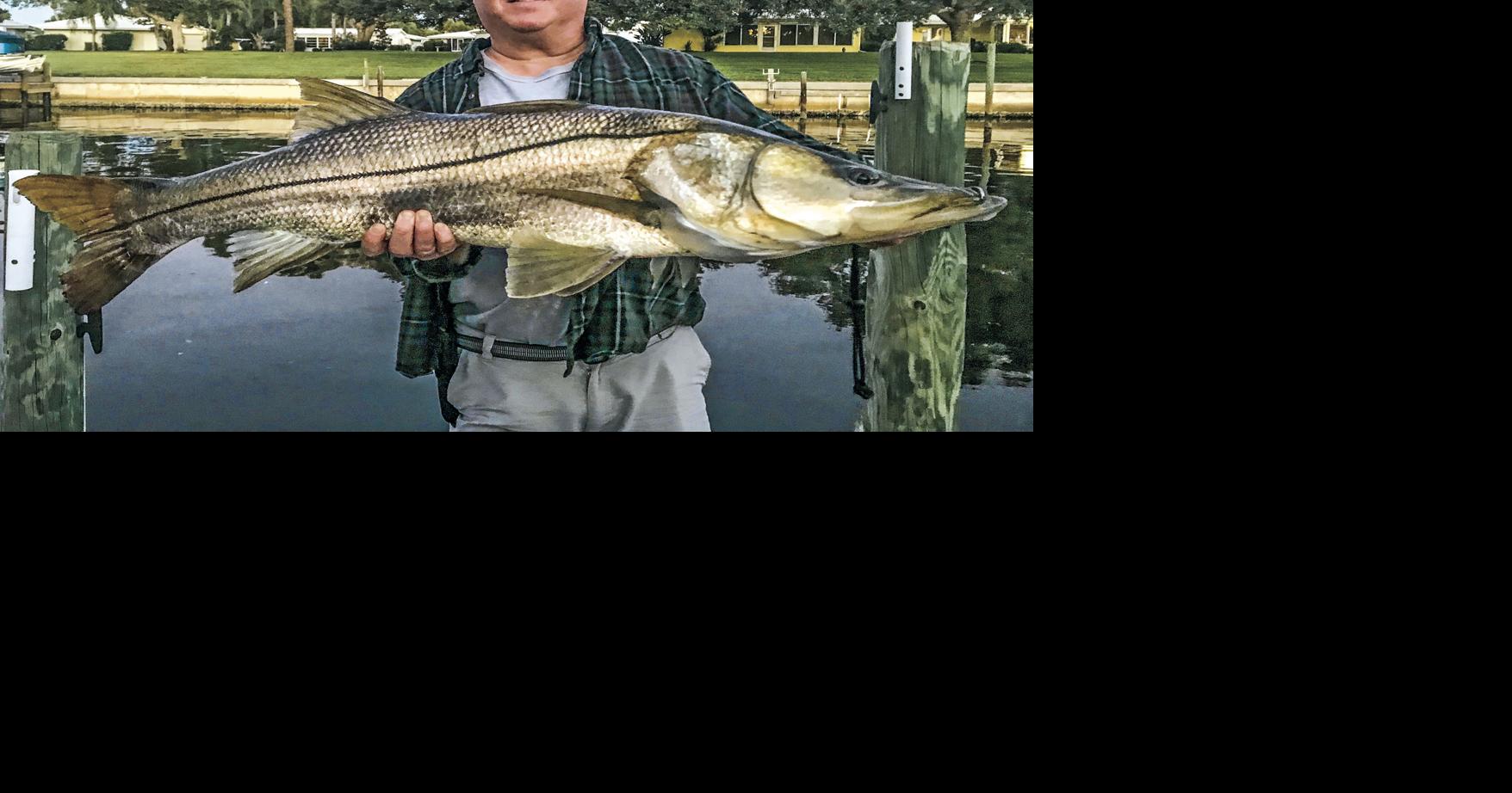 Who wants to catch more fish? | Waterline | yoursun.com