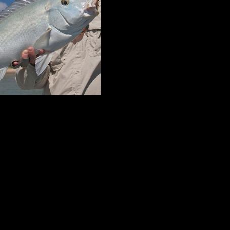 Slack Tides | Waterline | yoursun.com