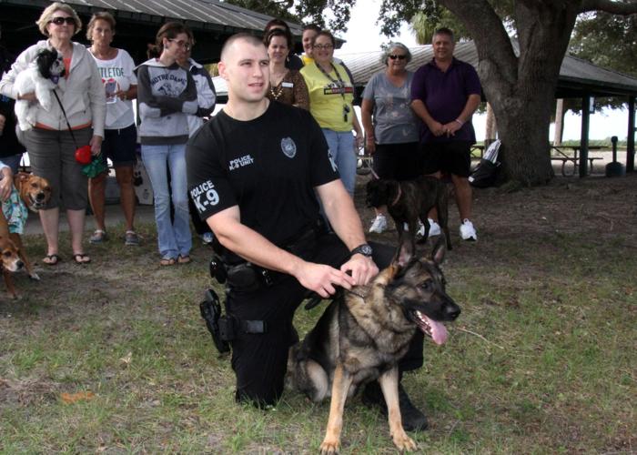 Punta Gorda police dog mauling lights up YouTube | News Archives ...