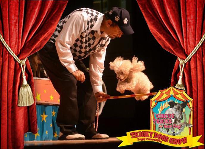 Charlotte County Fair offers learning and fun | News Archives | yoursun.com