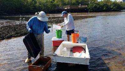 National estuary program looks to expand | Port Charlotte News ...