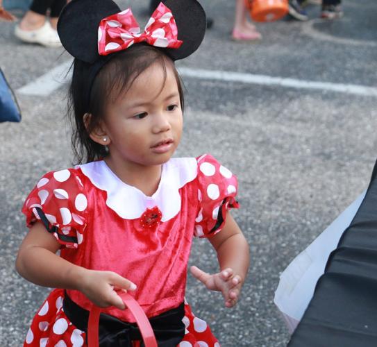 Not-so-spooky night at North Port City Green | News | yoursun.com