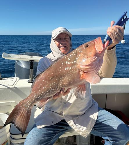 Reader photos | Waterline | yoursun.com