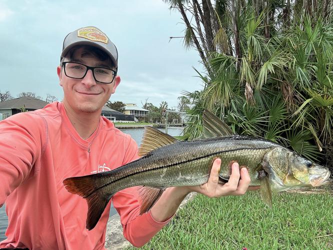 Reader photos | Waterline | yoursun.com