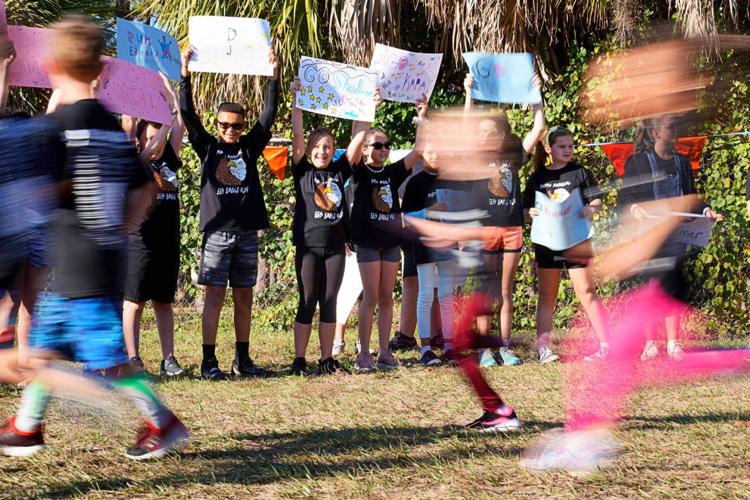 Run, Eagles, Run! | The Daily Sun | yoursun.com