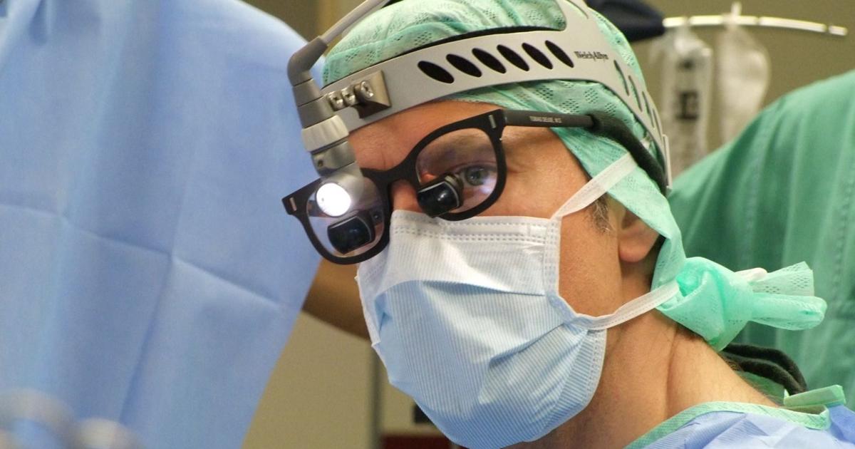 Stem Cells Could Regenerate Organs But Only If The Body Wont Reject Them Sebring