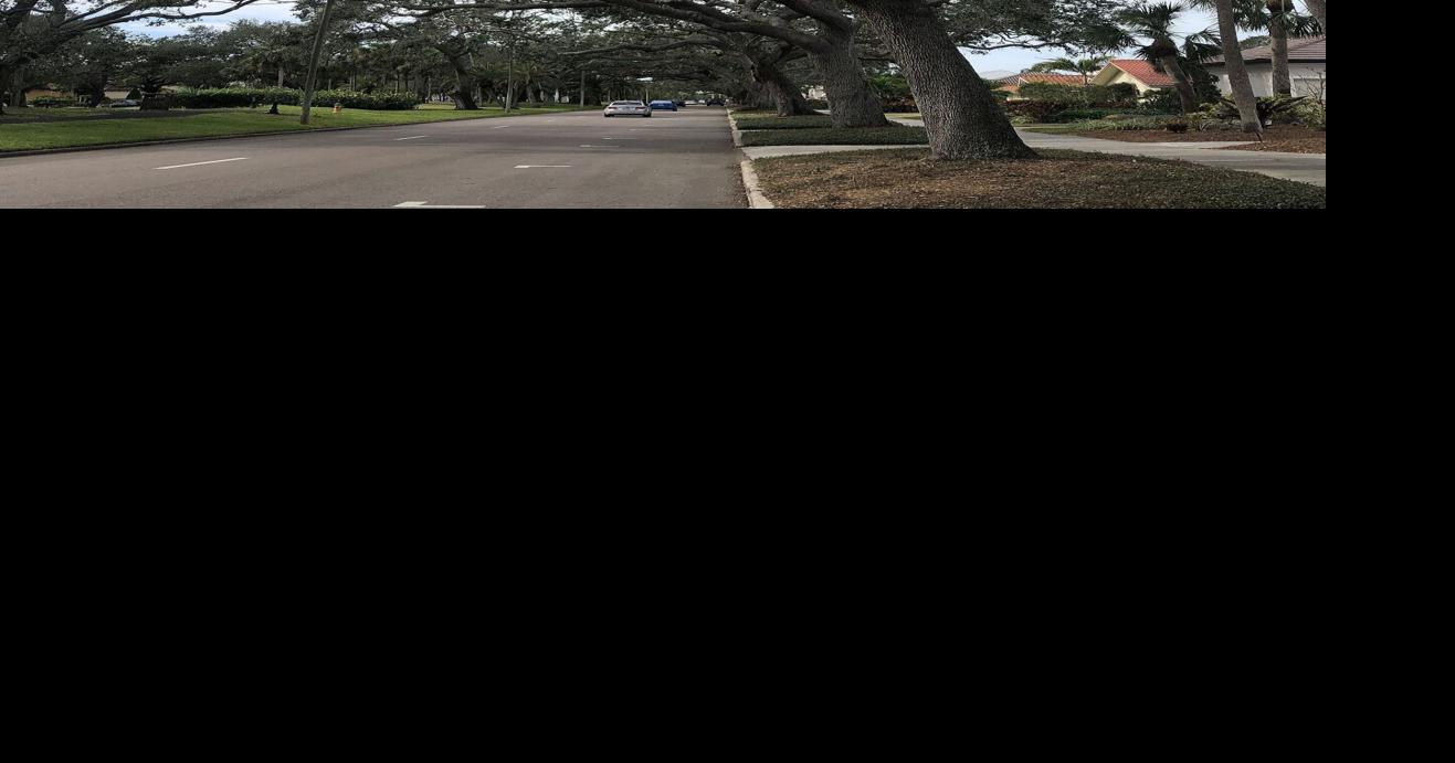 Sarasota County tweaks tree code | News | yoursun.com