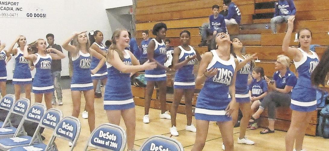 DMS cheerleaders show their spirit | News Archives | yoursun.com