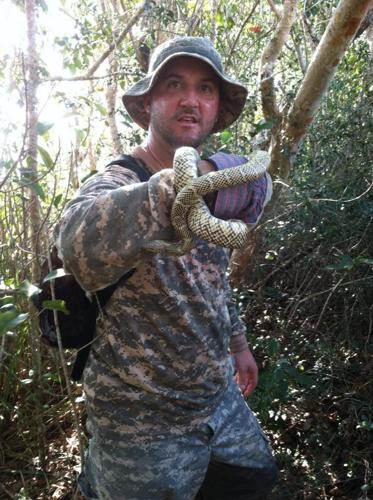 Swamp Apes stalk snakes to combat stress | News Archives | yoursun.com