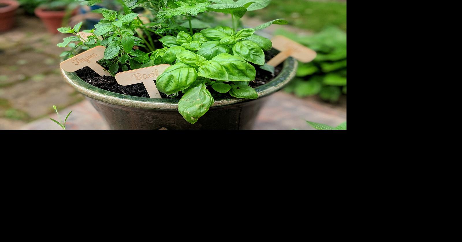 Italian herb garden pot | | yoursun.com