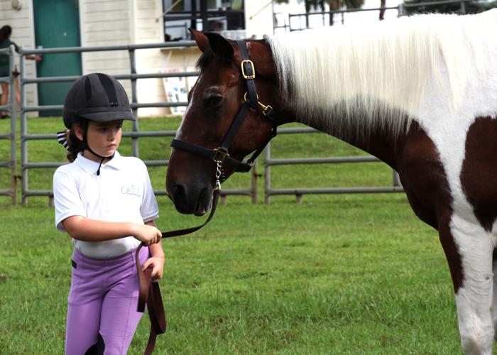 4-H Club hosts open Fun Show at Carmalita | News Archives | yoursun.com