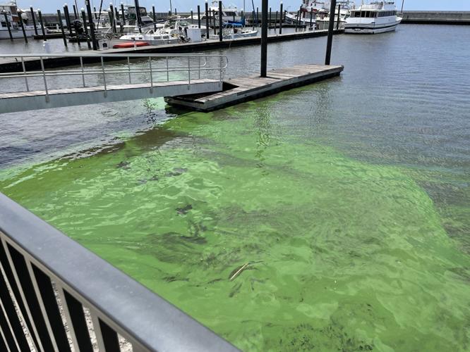 Tiny bubbles injected to fight toxic algae in the big lake | Port ...