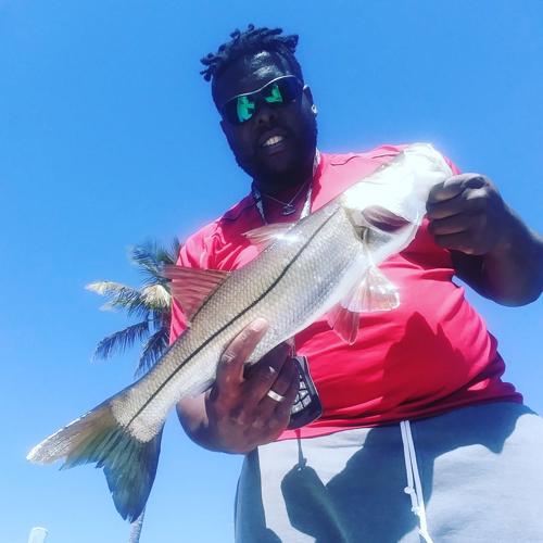 Reader photos | Waterline | yoursun.com