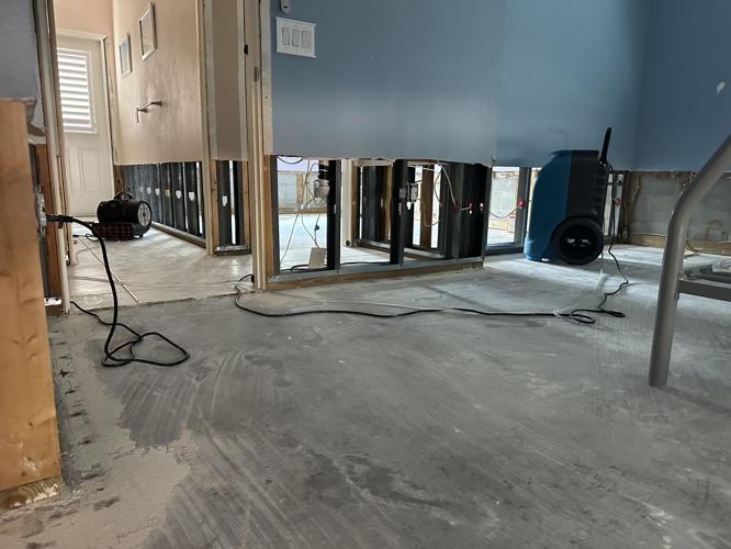 Venice police officer: Flooded by Debby, but 'we'll make it' | News ...