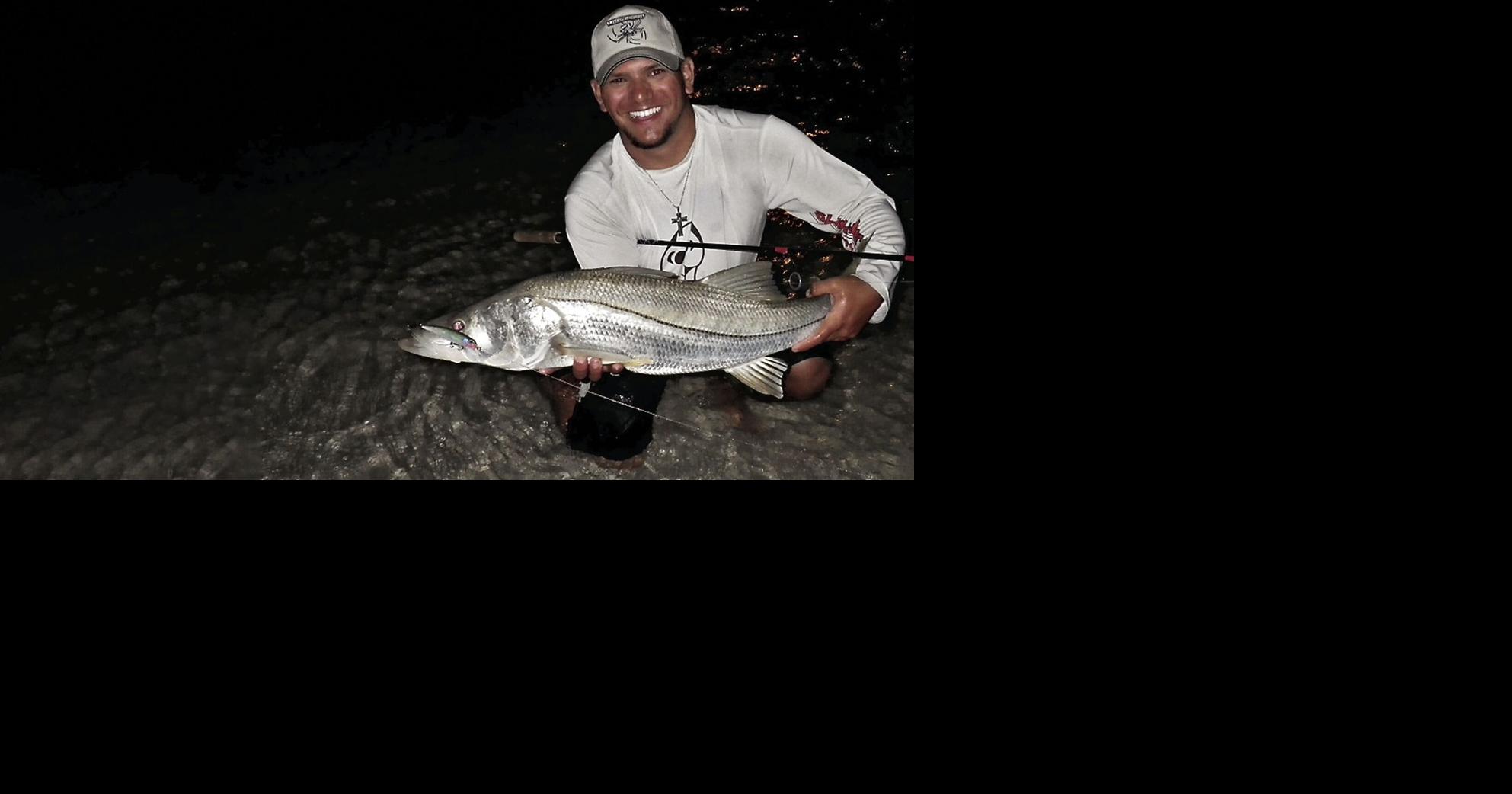 Fish like a vampire | Waterline | yoursun.com