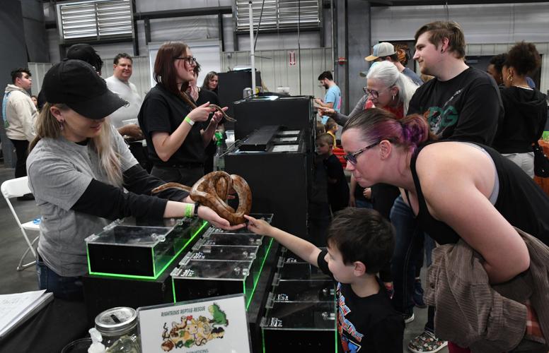 ReptiDay coming to Port Charlotte | Port Charlotte News | yoursun.com