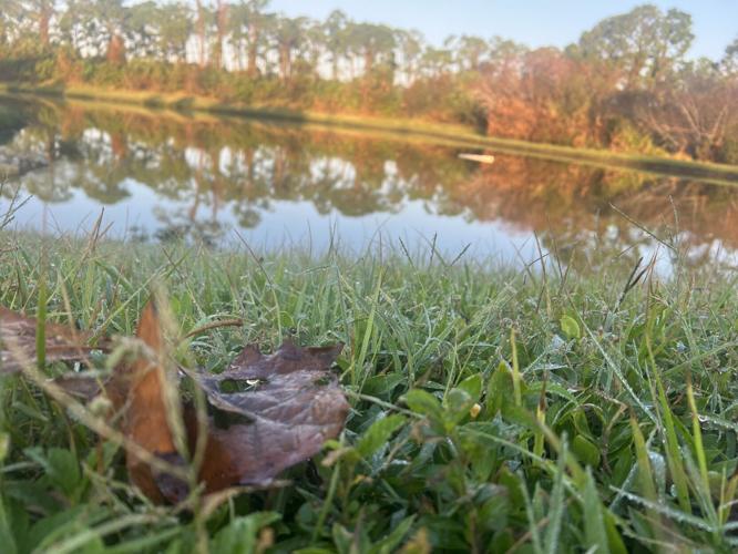 'Wind burn,' salt spray hit plant life | News | yoursun.com