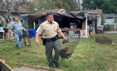 Animal 'advocates' eyed | Port Charlotte News | yoursun.com