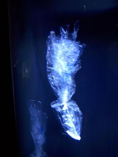 Sea debris exhibit shines sobering light on plastics | News Archives ...