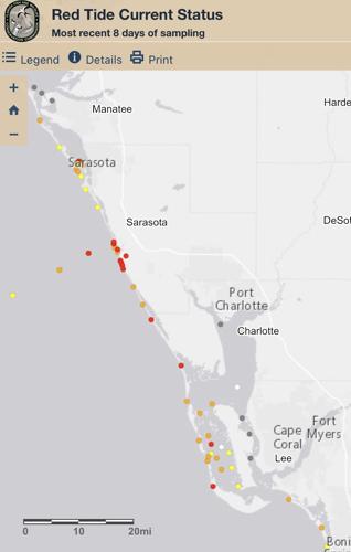 Red tide remains in area beaches, bays | Red Tide | yoursun.com