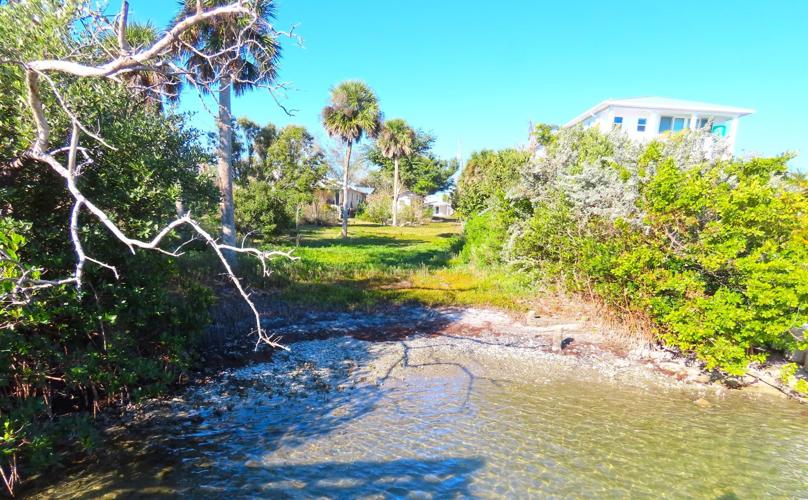 WATERLINE: Winter hammers down in February but the sun conquers all ...