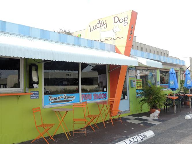 Lucky Dog: The diner that’s dog-gone good | News Archives | yoursun.com