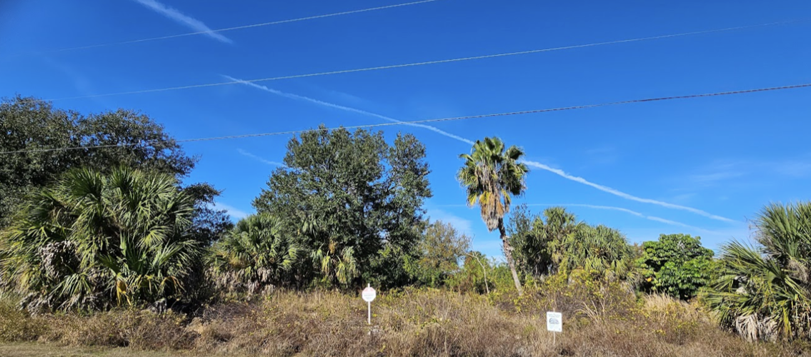 Local land conservancy eyes donations to protect Port Charlotte gopher ...