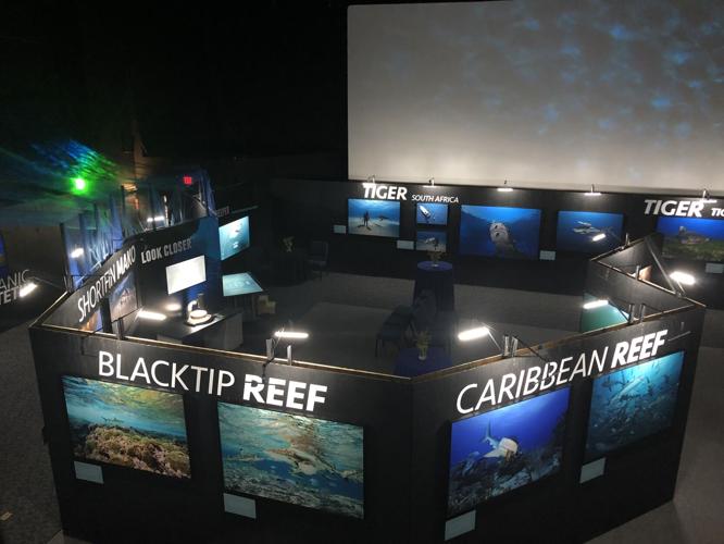 National Geographic shark exhibition opens at Mote | News | yoursun.com