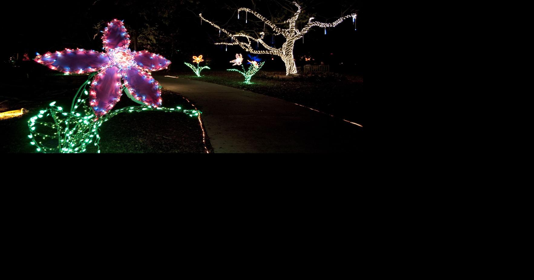 Lights in Bloom - An open-air holiday light show returns to Selby ...