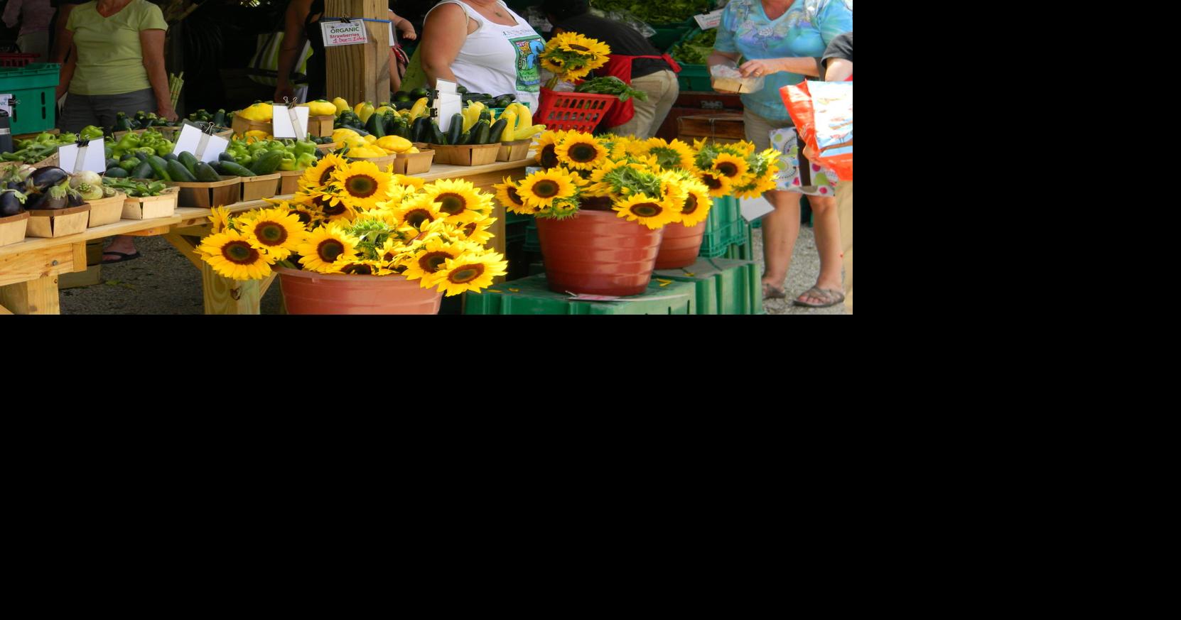Peak produce peek | News Archives | yoursun.com