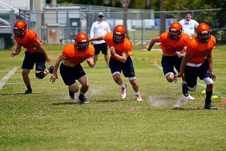 Lemon Bay football to debut 19 new starters in spring game | Area Preps ...