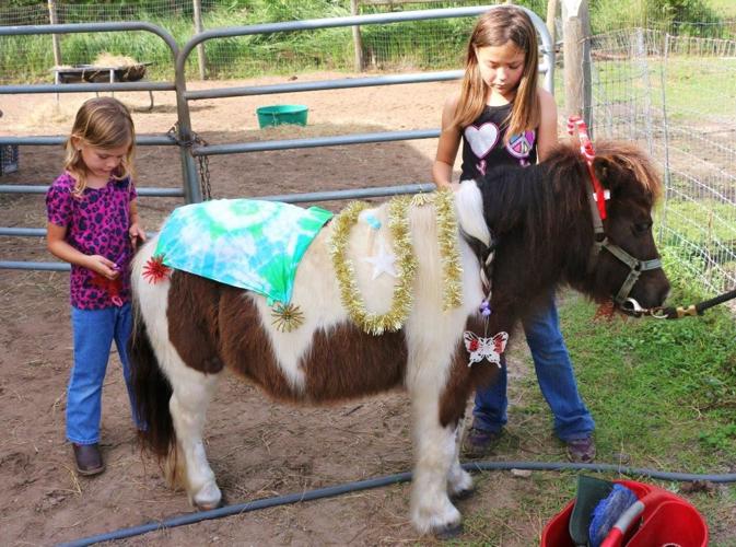 Ponies on parade | News Archives | yoursun.com