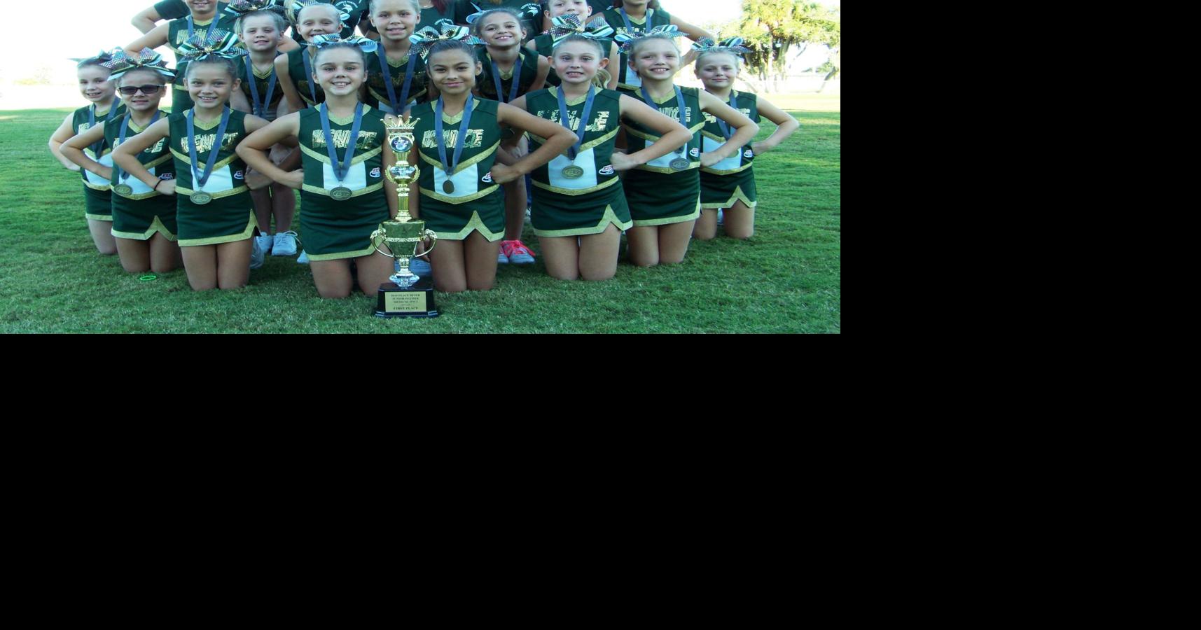 Vikings cheer teams move on to regionals | News Archives | yoursun.com