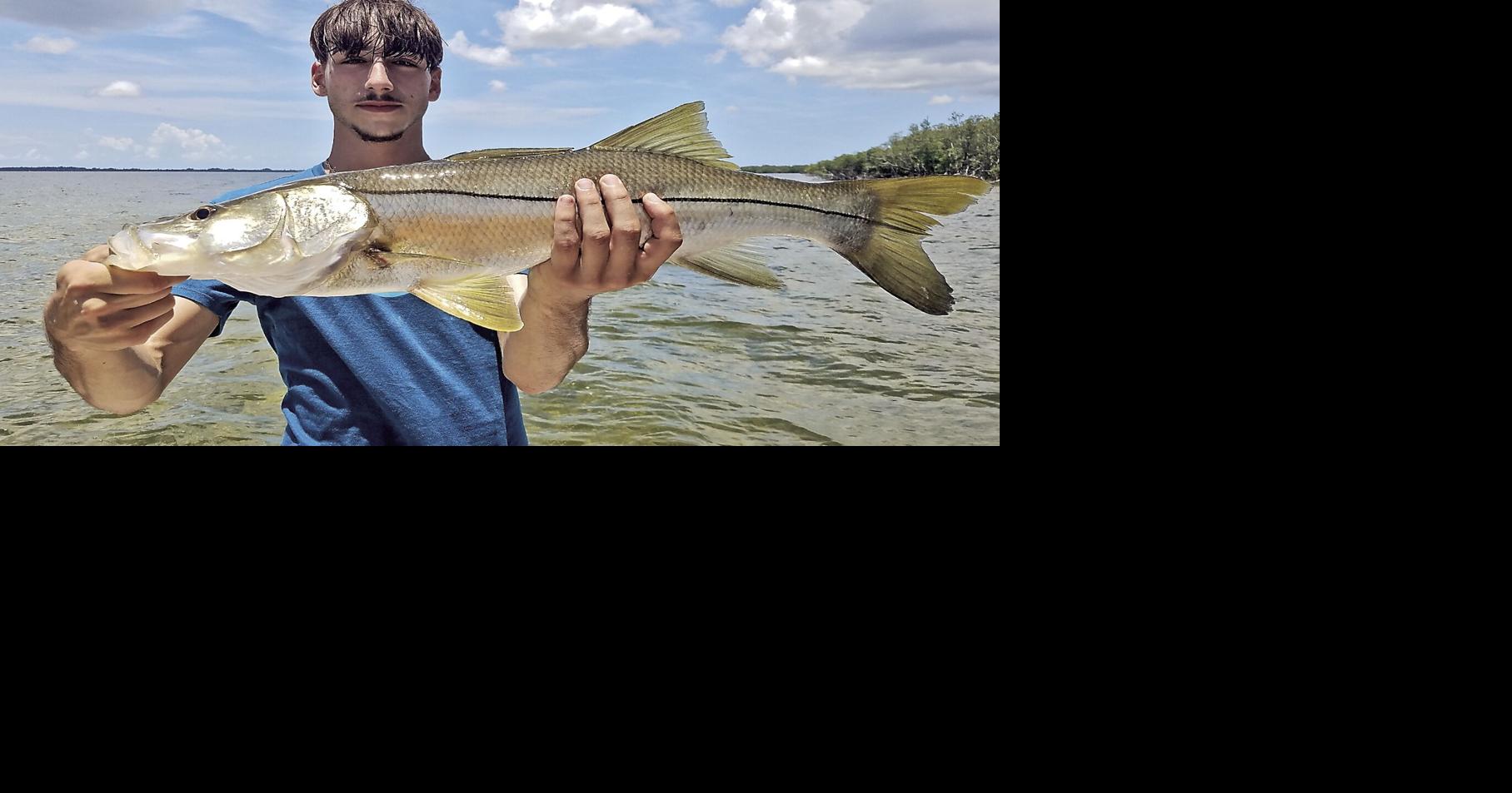 Handle with care: How to make sure your released fish survive ...