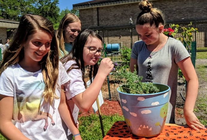 Students show off their school garden on Earth Day | Features | yoursun.com