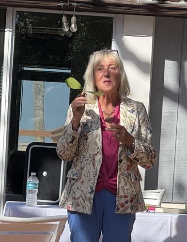 'Canopy Meg' talks about looking after nature | News | yoursun.com