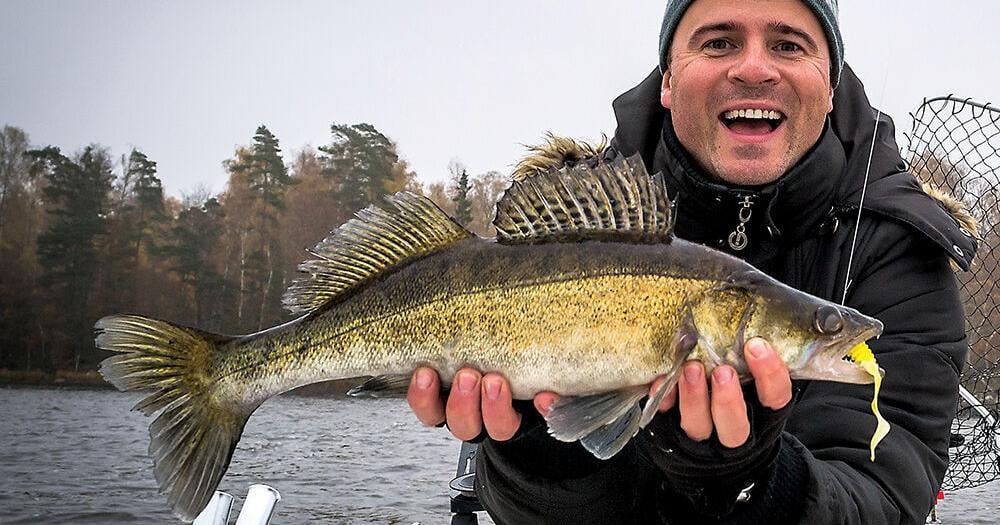 Walleye fishing … in Florida? | Waterline | yoursun.com