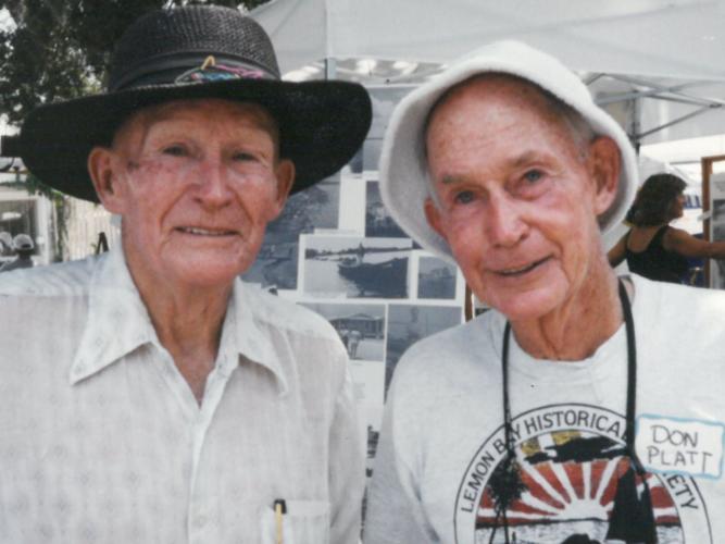 Mosquitoes: ‘Some kind of terrible’ | News Archives | yoursun.com