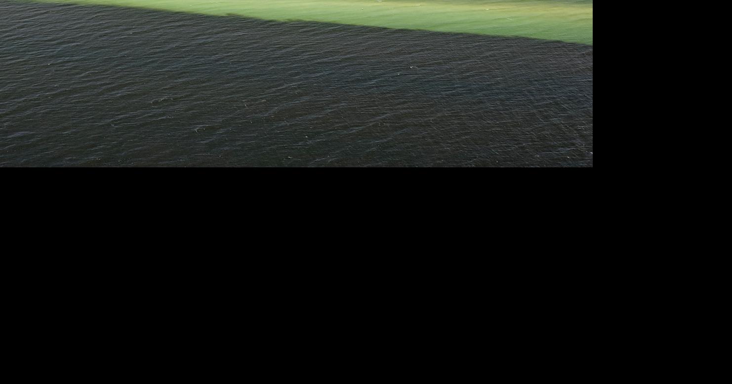 Tips for tracking red tide | Waterline | yoursun.com