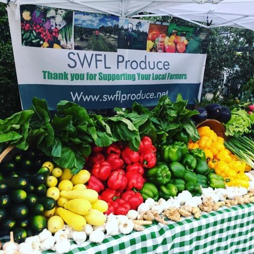 Feeding Southwest Florida | News | yoursun.com