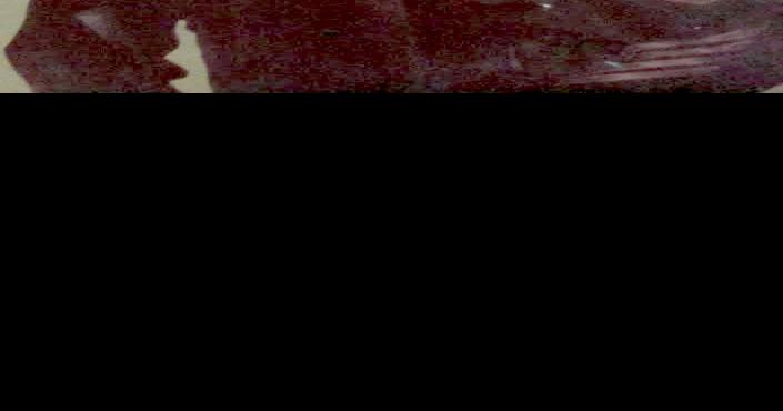 Sailor took part in Bay of Pigs Invasion, Cuban Missile Crisis | News ...