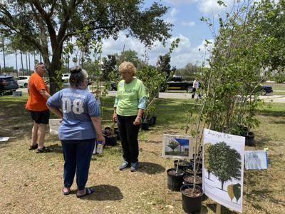 Annual Tree Fair is April 29 | News | yoursun.com